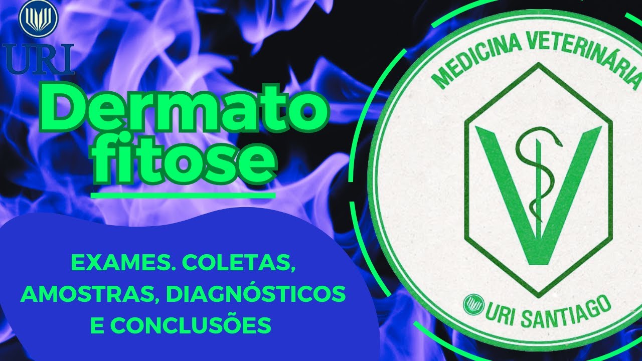 DERMATOFITOSE - RESUMO DO QUE ESPERAR EM UMA CONSULTA AO MÉDICO ...