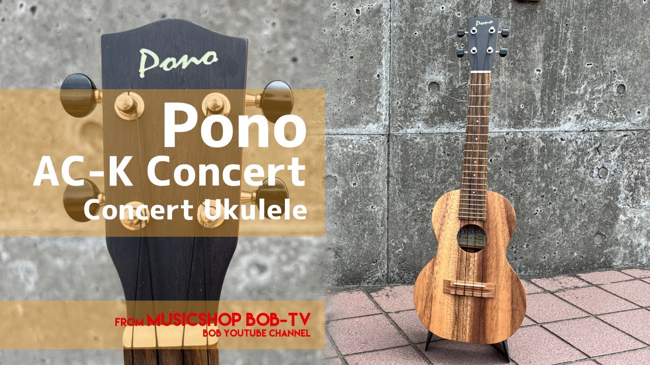 Pono AC-K Concert【商品紹介】コンサートウクレレ《在庫有・販売可》#ukulele #ウクレレ #ボブ楽器店 #鹿嶋市 #茨城県 #楽器店 #楽器屋 #Pono - YouTube