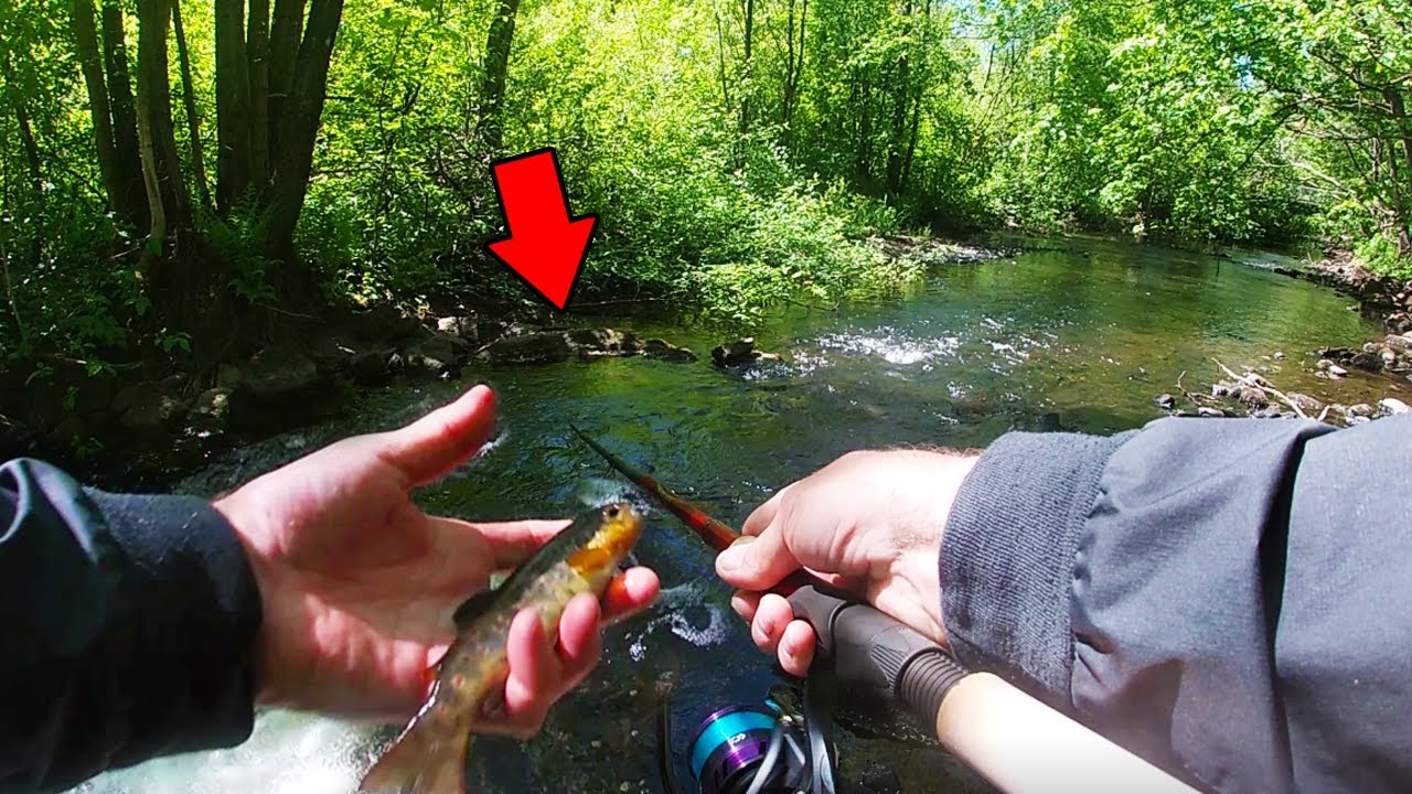 On the SEARCH for TROUT in Beautiful RIVER (Spring Fishing) - YouTube
