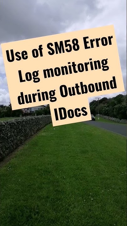 Use of SM58 Error Log monitoring during Outbound IDocs in SAP || SAP Interfaces || SAP Best ...