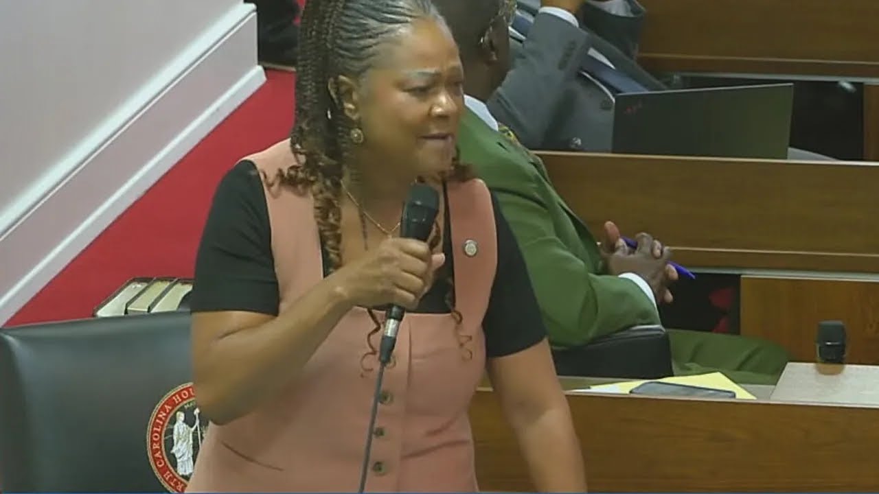 Rep. Cunningham delivers controversial speech during veto override ...