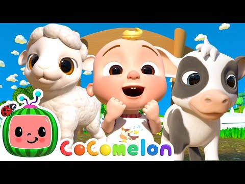 Ol' MacDonald Baby Animal Version | CoComelon |  Nursery Rhymes