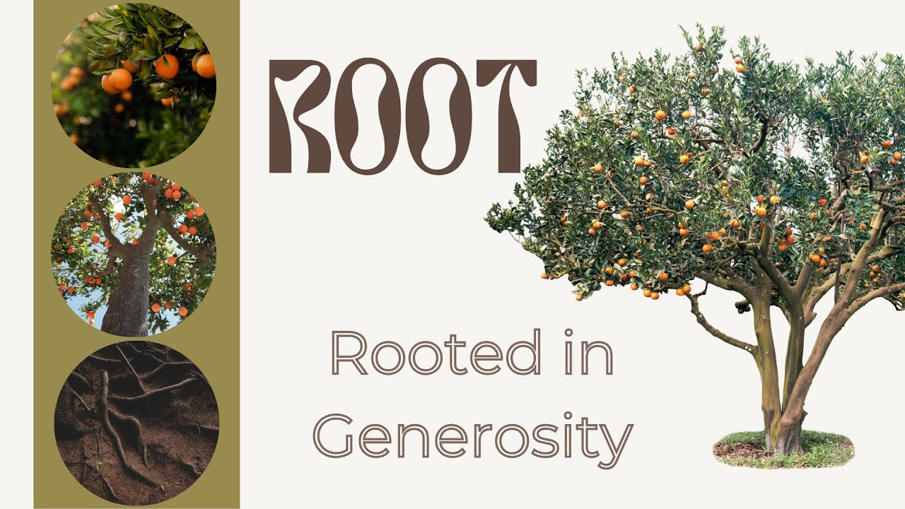 Rooted in Generosity - YouTube