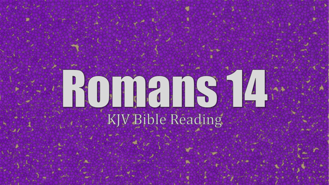Romans 14 KJV Human Reader Do Not Pass Judgment Or Be A Stumbling romans-14-kjv-human-reader-do-not-pass-judgment-or-be-a-stumbling