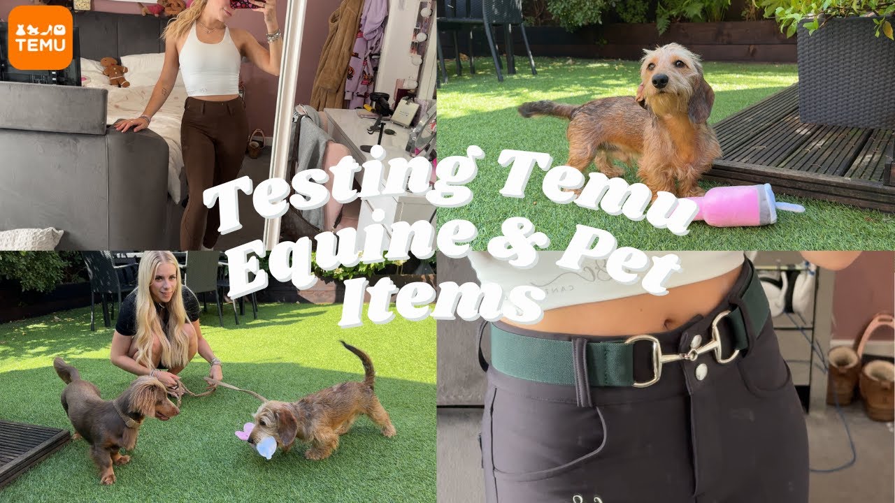 TESTING EQUESTRIAN AND PET ITEMS FROM TEMU 🐴 💕🤩 - YouTube