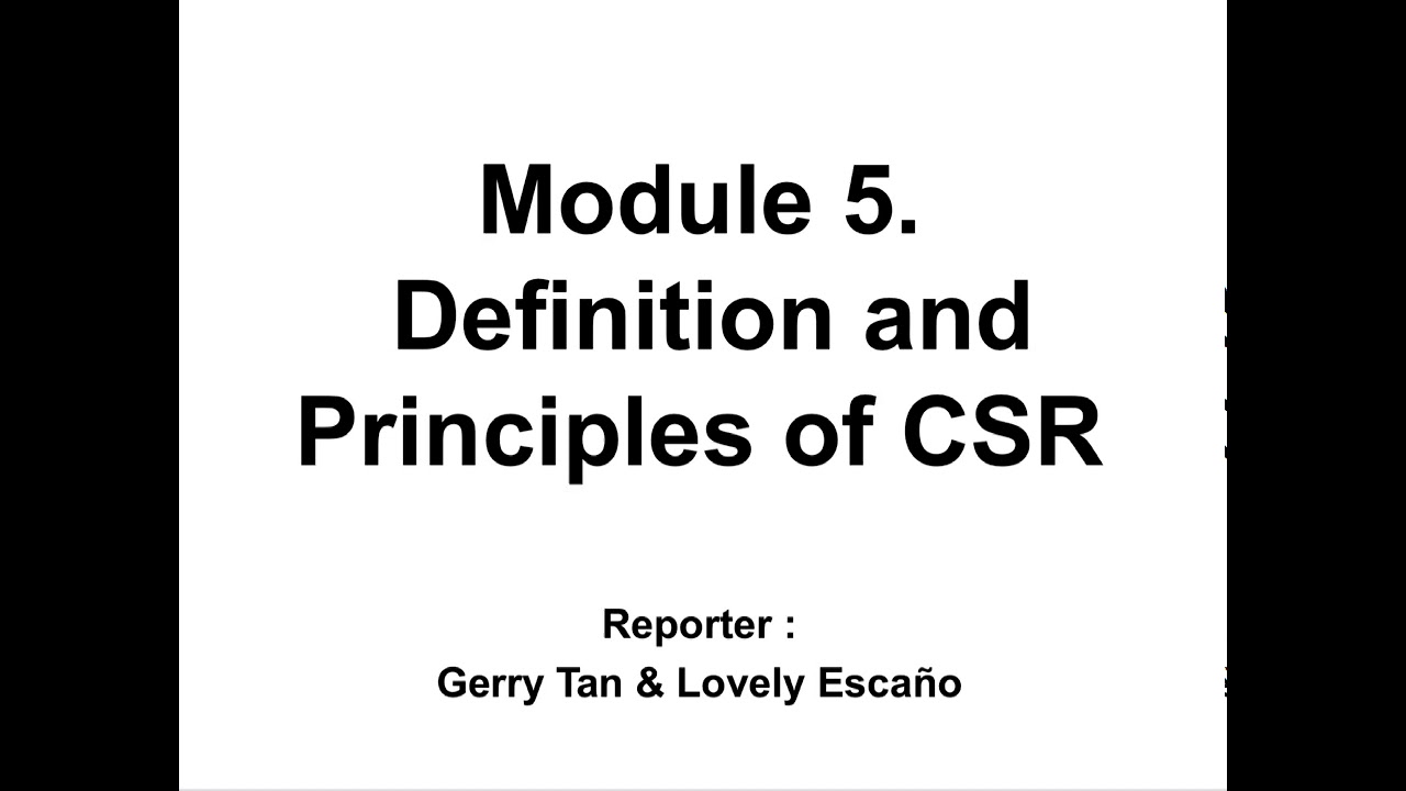 Module 5 : The Definition and Principles of CSR (Corporate Social ...