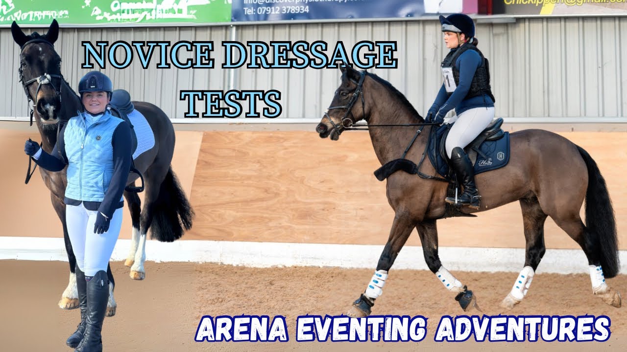 NOVICE DRESSAGE & ARENA EVENTING! 🤩 @shannonm_equestrian - YouTube
