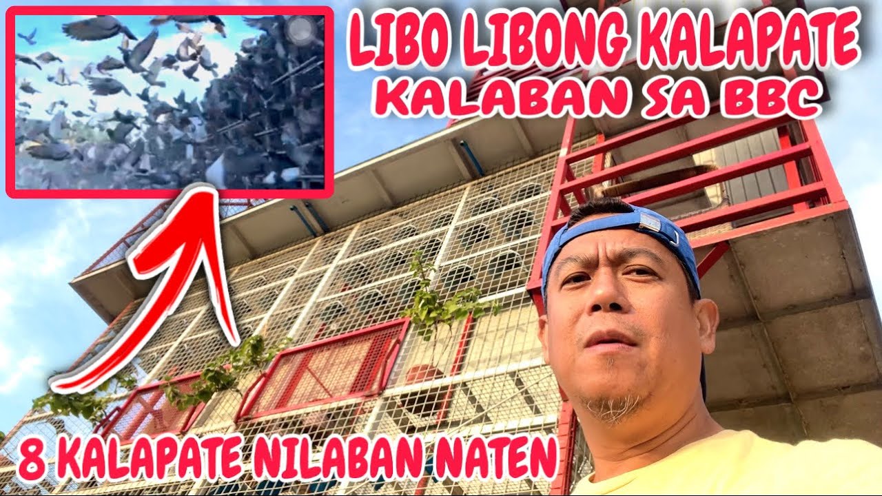 EP 860 - UNANG LABAN SA BBC LIBO LIBONG KALAPATE ANG KALABAN SHEEES ...