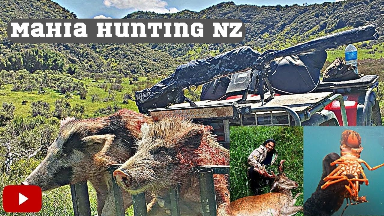 Mahia Hunting Nz - YouTube