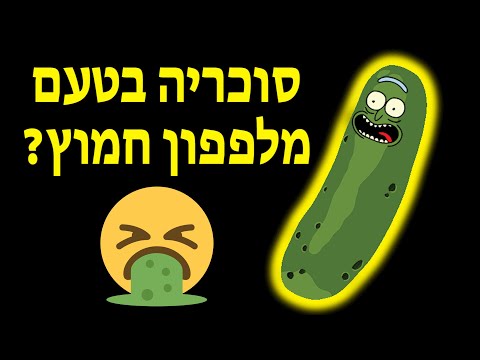 מיץ רשת - פרק 4