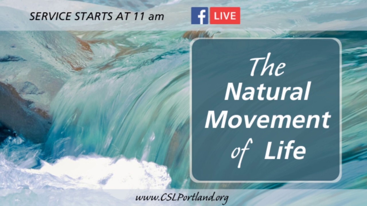 The Natural Movement of Life - YouTube