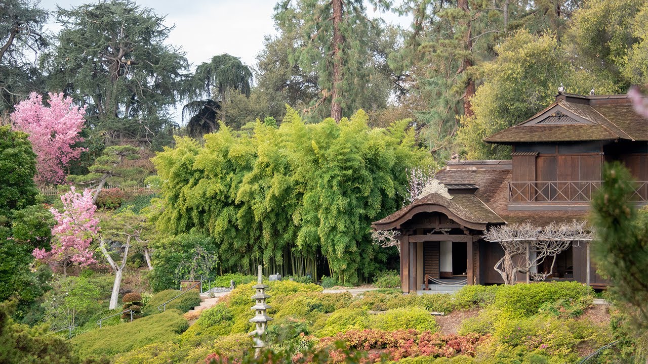 Japanese Walking Garden