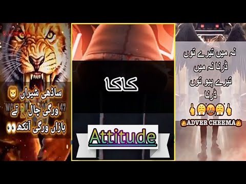 Punjabi Badmashi Attitude Dialogue Status || New Badmashi Status Punjabi || Umar Official 5