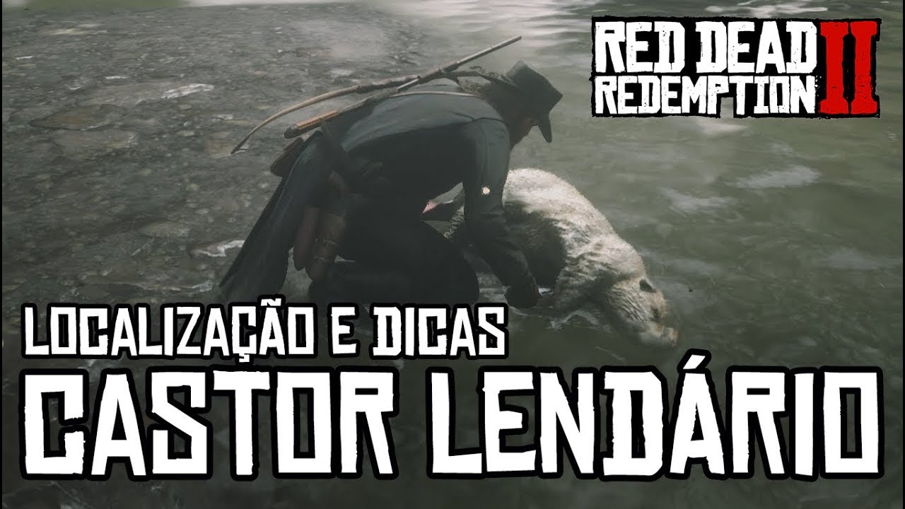 RED DEAD REDEMPTION 2 - ABATENDO O CASTOR LENDÁRIO (DICAS) - YouTube