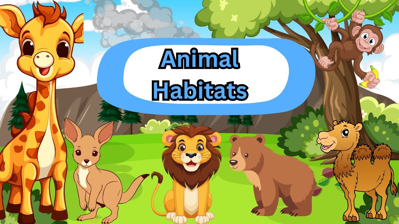 Secrets of the Savanna: A Look at Animal Habitats | Animals and their ...