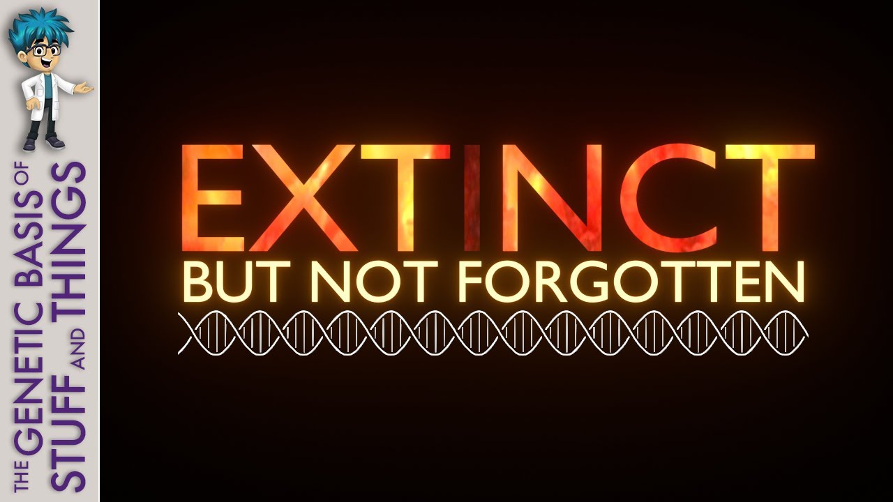 Extinct but not forgotten: Genetics of the Tasmanian tiger, an extinct ...