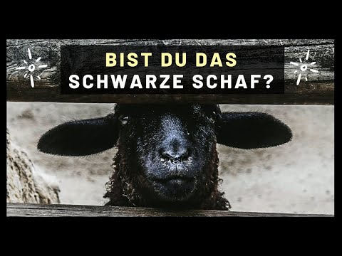 Bist du das SCHWARZE SCHAF deiner Familie? 🐑| Sündenbock-Rolle! - Geheilte Heiler!