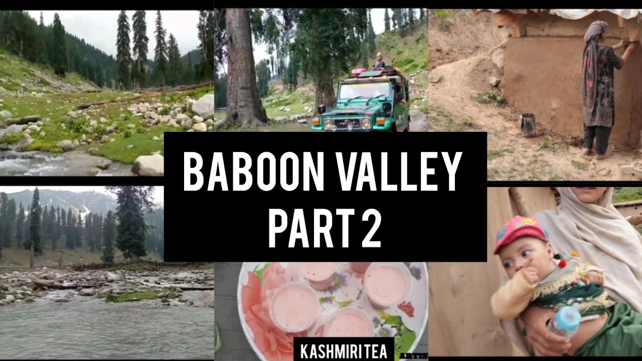 Baboon Valley || Kashmir ||Travel vlog Part 2 - YouTube