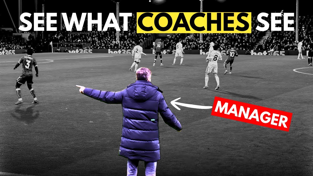 What a Professional Manager actually see's (POV) - YouTube