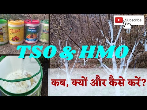 TSO या HMO किसका छिड़काव कब,क्यों और कैसे करें? HMO and TSO in Apple Orchard sprey oils for apple