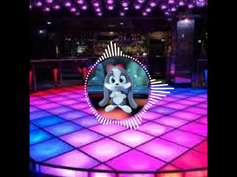 Snufi - Hipp-Hopp Party (Slowed)