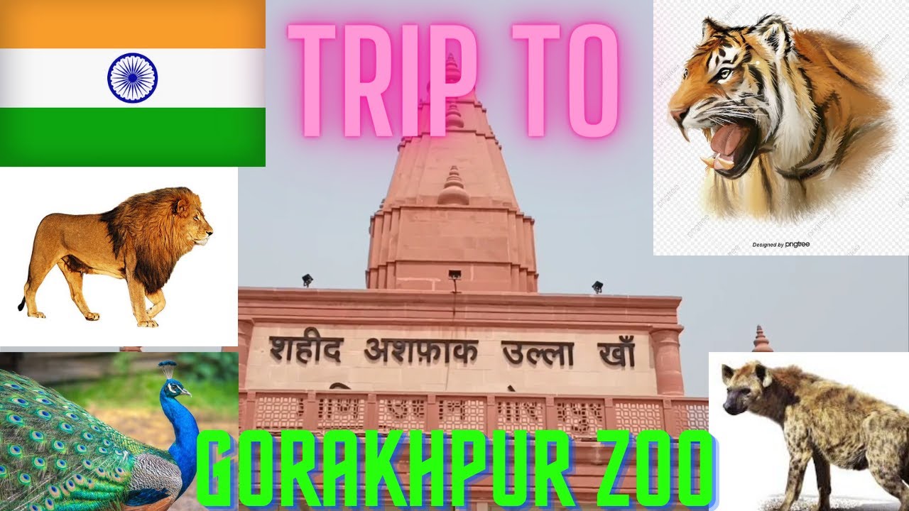 Trip to GORAKHPUR ZOO (Shaheed Ashfaq Ullah Khan Prani Udyan) - YouTube