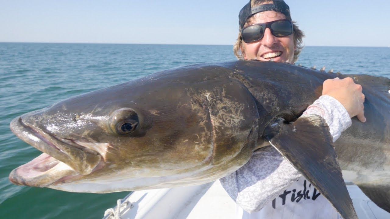 RECORD BREAKING GIANT FISH!! Cobia Fishing with Jigs - YouTube