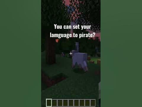 Pirate language in Minecraft - YouTube