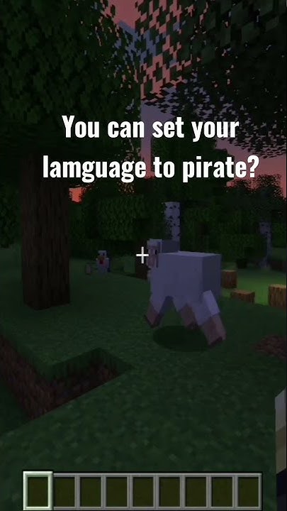 Pirate language in Minecraft - YouTube