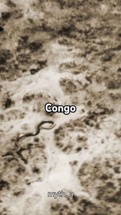 "The Congo Giant Snake: A WWII Mystery" - YouTube