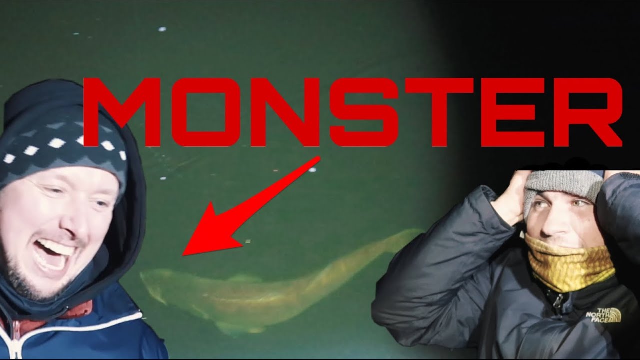 Der GRÖSSTE Zander den wir JEMALS gesehen haben ! - YouTube