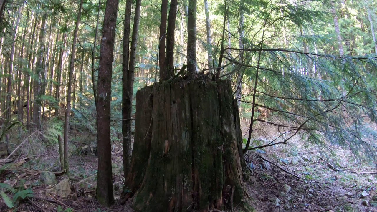 [4K] Hoover Lake Mission, BC Hike FPV - YouTube