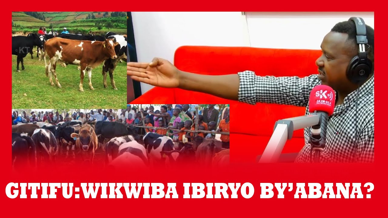 IBAZE KUGURA INKA BUHENE? WIKWIBA IBIRYO BY'ABANA| GITIFU NA MUDUGUDU ...