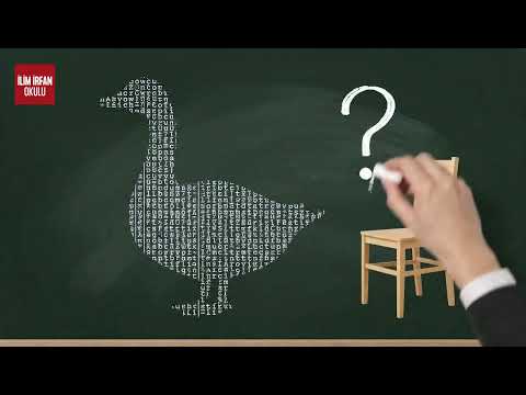 Yaban Kazları Allah’ı Nasıl Anlatır?