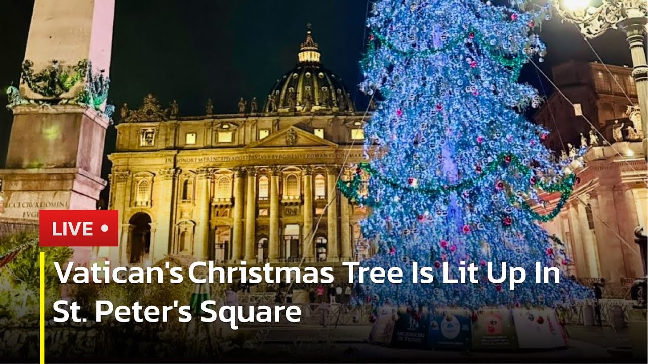 🔴 LIVE: Vatican's Christmas Tree Is Lit Up In St. Peter's Square | AC13 ...