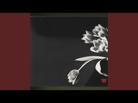 Friends - YouTube