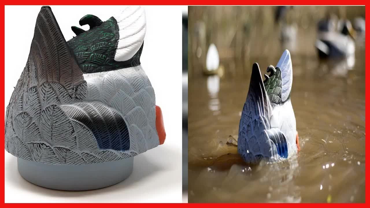 MOJO Outdoors Duck Hunting Motion Decoys - YouTube