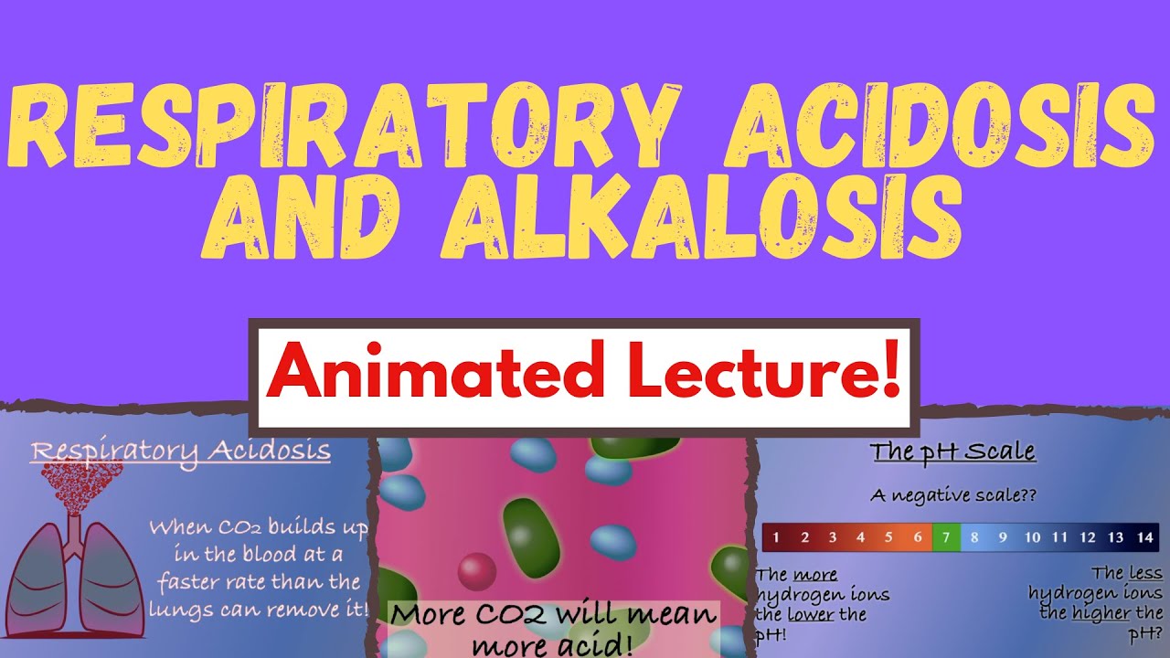 Blood Gas Basics: Respiratory Acidosis & Alkalosis (Physiology ...