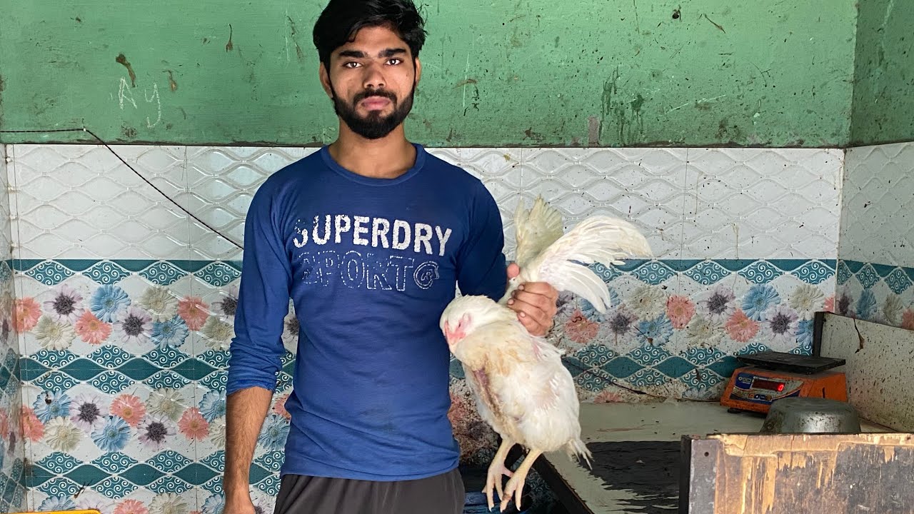 Amazing Chicken Cutting || Skills Fresh Chicken Cutting Fast || Chicken ...