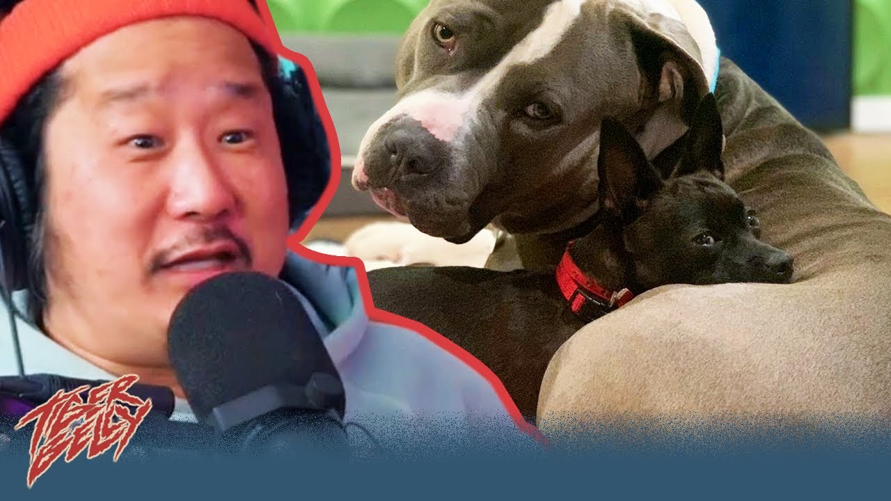 Bobby Lee Comes Home to More Dogs - YouTube