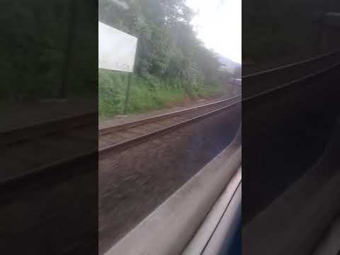 Ngintip di kereta