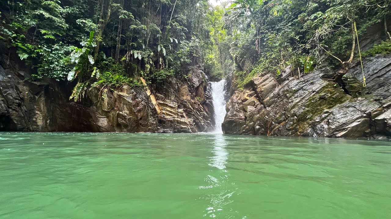 Paria Waterfall, Trinidad & Tobago (4k HLG) #shorts - YouTube