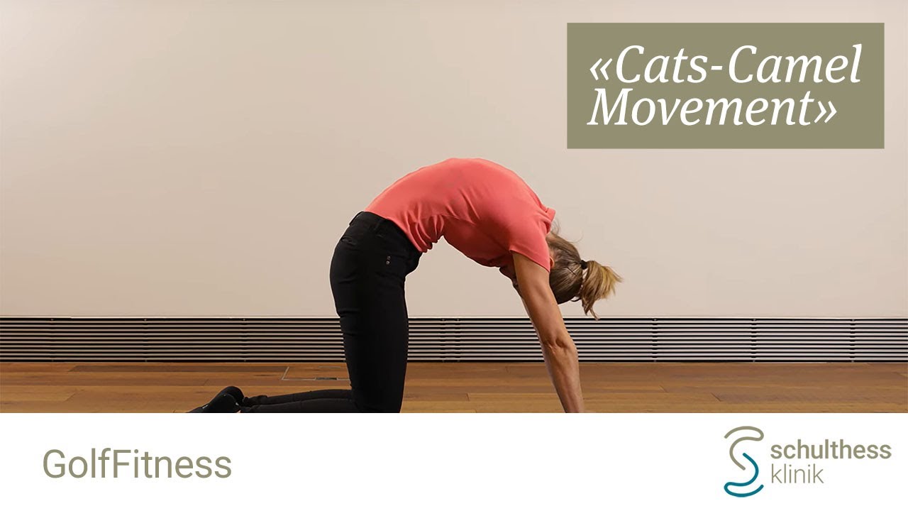 «GolfFitness Übung: Cats-Camel Movement, Angry Cat Stretch ...