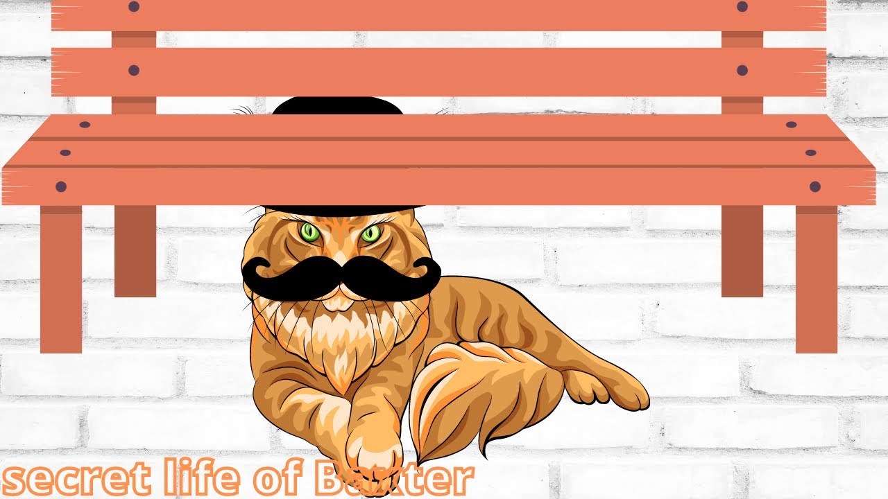 The Secret Life Of Baxter || 2021 || Baxter’s Life Documented - YouTube