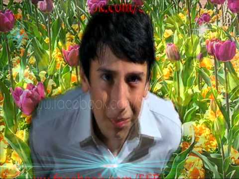 BAY  SERSERİ   VE  BAY  CAN