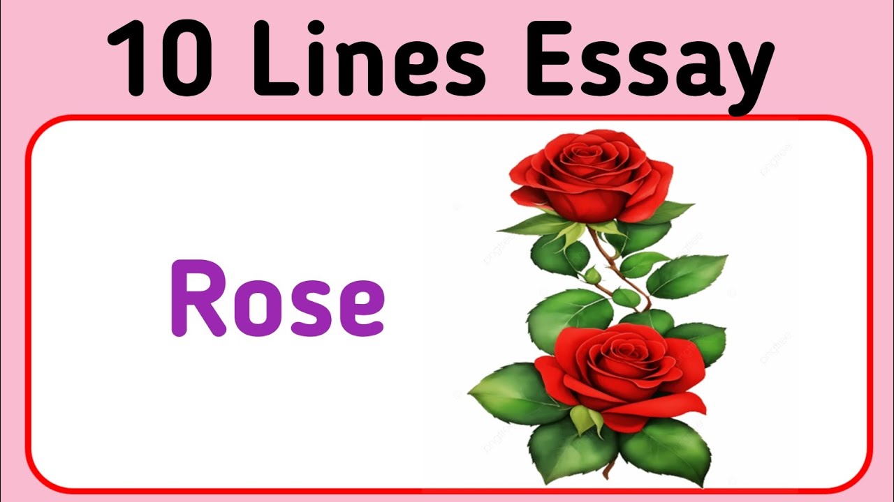 10 Lines on Rose in English | Essay on my favourite flower Rose | Essay ...