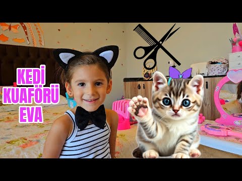 PET KUAFÖRÜ EVA - Kedimi Kuaföre Getirdim Saç ve Makyaj Yaptırıyorum