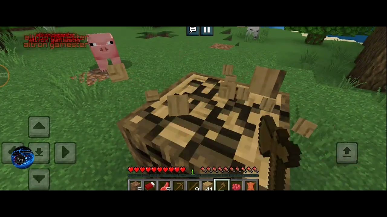 I will play Minecraft and you watch Minecraft chapter 1 - YouTube