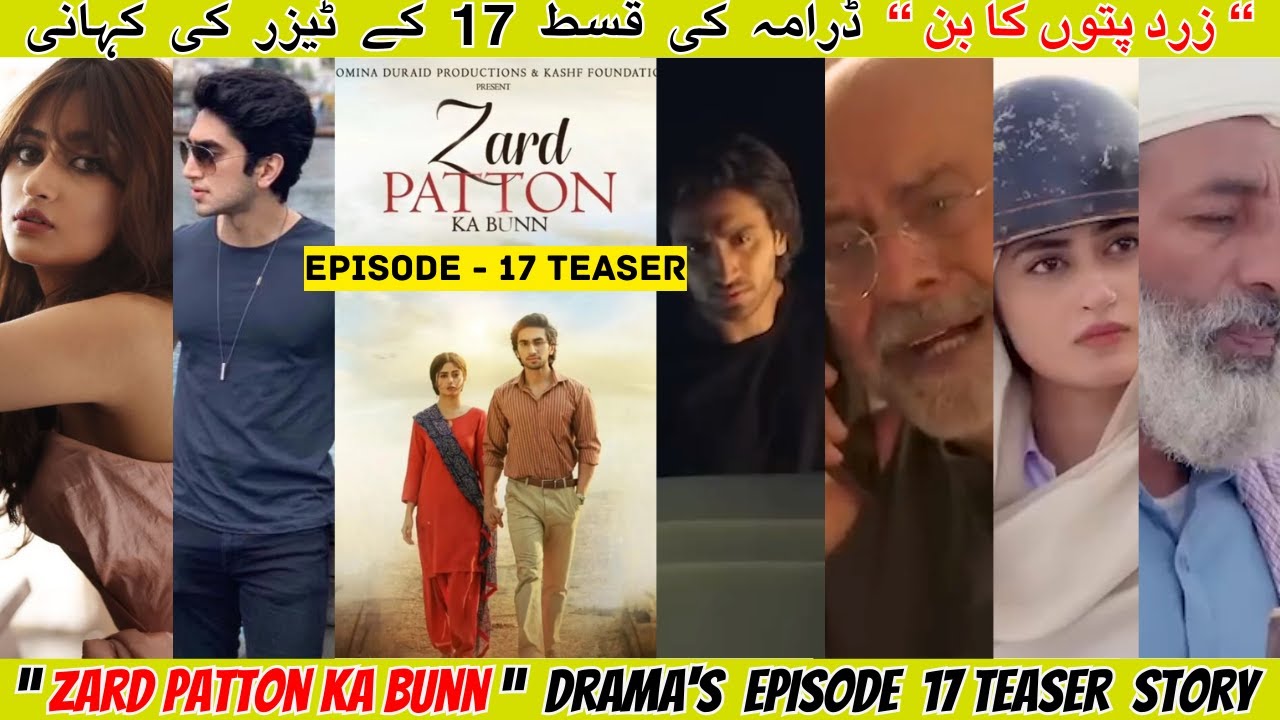 Zard Patton Ka Bunn Episode 17 Teaser Story | Zard Patton Ka Bunn Episode 17 Promo | HUM TV ...