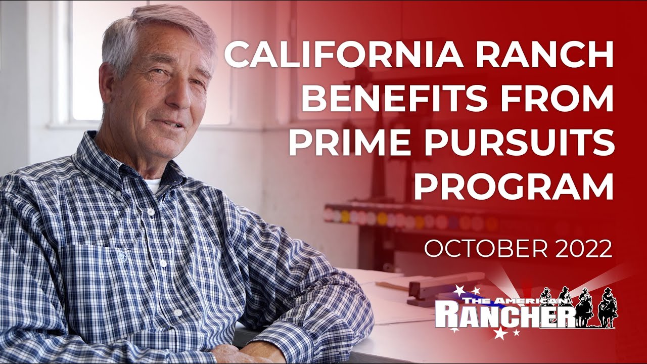 California Rancher Benefits from Prime Pursuits Program | The American ...